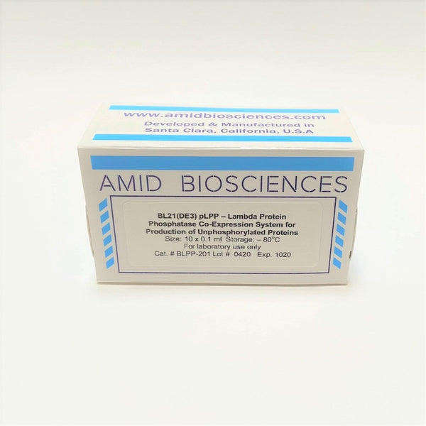 BL21(DE3) pLPP – Lambda Protein Phosphatase Co-Expression System | Production of ...