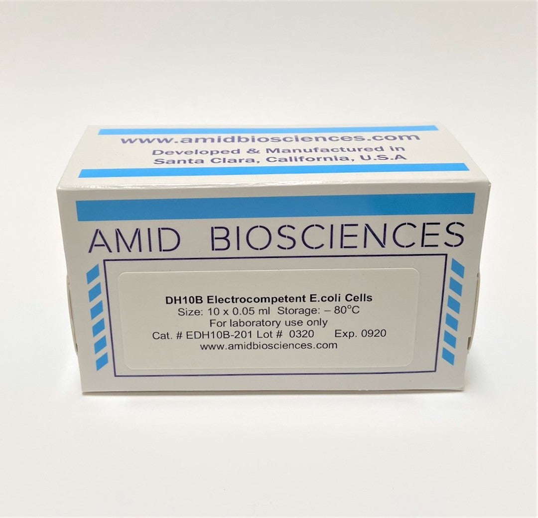 DH10B Electrocompetent E. coli Cells – Amid Biosciences | Protein ...